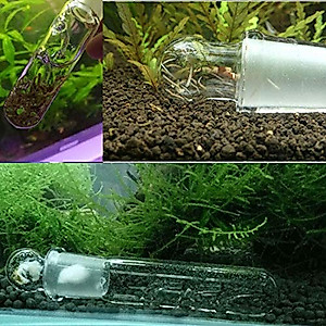 Windspeed Planaria Trap Catch Trap Leeches Catcher, Aquarium Supplies Clear Glass Planarian Leech Trap Tube Catcher 3 Holes for Cherry Shrimp Crystal Red Shrimp Dwarf Shrimp