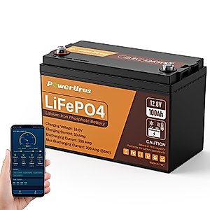 12V 100Ah Self-Heating LiFePO4 Lithium Battery with Smart APP, 4000+Cycle LiFePO4 Battery, Built-in 100A BMS, Wireless Real-Time Battery Monitor Function for RV, Marine, Off Grid Application