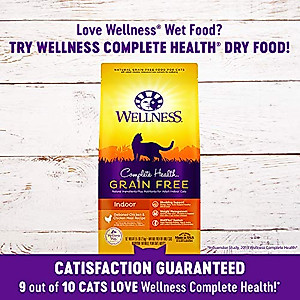 Wellness Healthy Indulgence Natural Grain Free Wet Cat Food, Morsels Chicken & Turkey, 3-Ounce Pouch (Pack of 24)