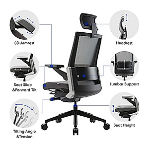 SIDIZ T80 Ergonomic Home Office Chair : German Mechanism for Extreme Comfort, Adjustable Headrest and Lumbar Support, 3-Way Armrests, Forward Tilt Adjustment, Adjustable Seat Depth, Mesh Back (Black)