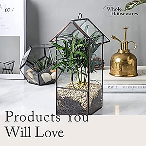 WHOLE HOUSEWARES | Decorative Clear Glass Dome | Cloche Glass Dome for DIY Snow Globes | Tabletop Centerpiece | Cloche Bell Jar Display Case | Black MDF Base, 5.7" D X 6.5" H