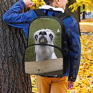AmzPrint 17 Inch Funny Llama Backpack For Elementary Middle School Alpaca Backpack For Kids Child Back To School As Gift