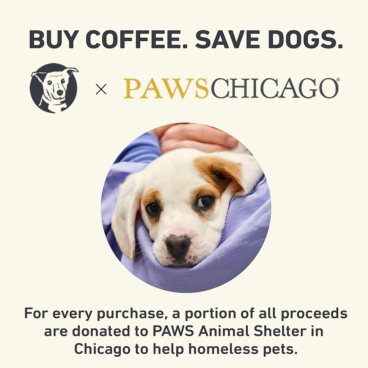 Stella Blue Fresh Ground Coffee - Big Cat Blend - 100% Arabica MEDIUM Roast - Ethically & Sustainably Sourced from Central America - Helps Support PAWS Chicago - 12 ounce Bag