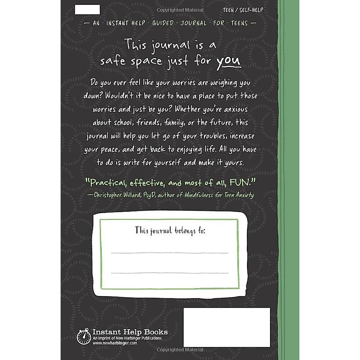 Put Your Worries Here: A Creative Journal for Teens with Anxiety (The Instant Help Guided Journal for Teens Series)
