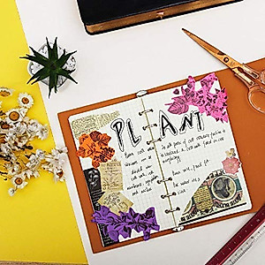 Phomemo M02 Pro Mini Printer- Bluetooth Thermal Photo Printer with 3 Rolls Colorful Sticker Paper, Compatible with iOS + Android for Plan Journal, Study Notes, Art Creation, Work, Gift, Cyan