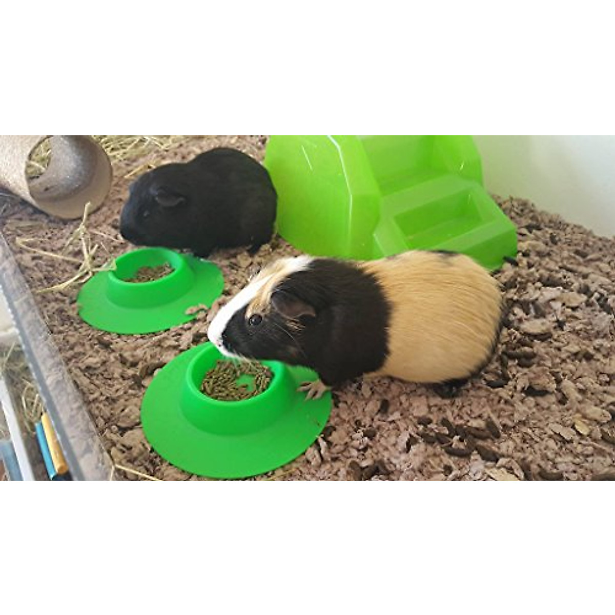 STAYbowl Tip-Proof Ergonomic Pet Bowl for Guinea Pig and Other Small Pets, 1/4-Cup Small Size, Spring Green