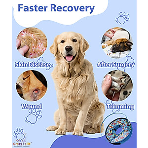 Soft Inflatable Dog Cone Collar for Large Medium Small Dogs, Cone for Dogs Alternative After Surgery, Donut Cones to Stop Licking Scratching with Clear Baffle (Blue, XL (Neck: 19-25 in))