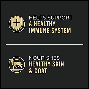 Purina Pro Plan High Protein Puppy Food Pate, Chicken and Brown Rice Entree - (12) 13 oz. Cans