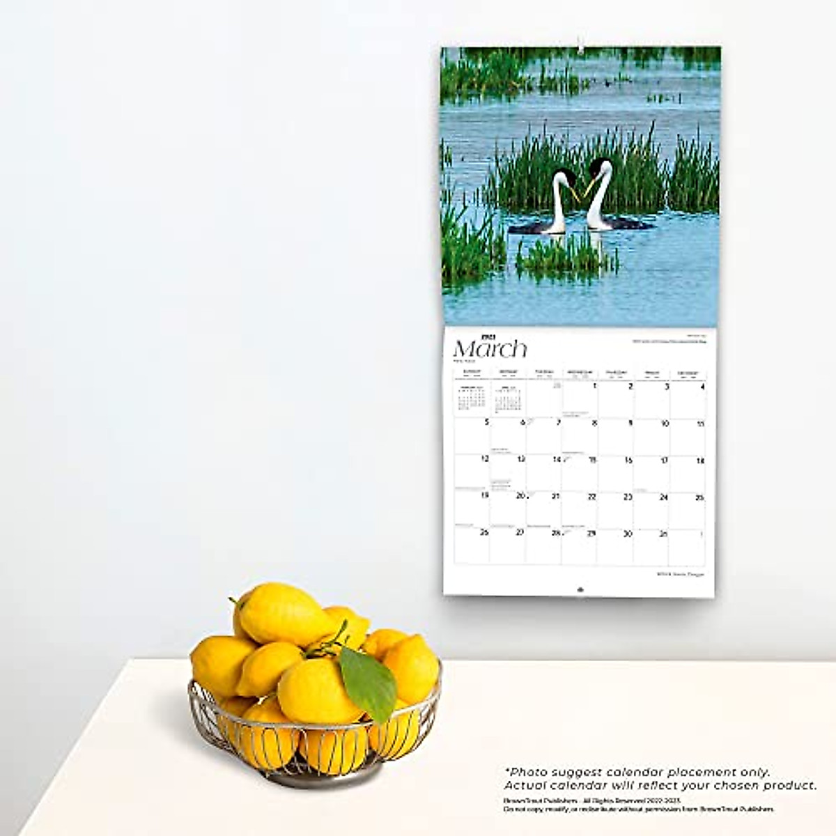 Oregon Wild & Scenic | 2023 12 x 24 Inch Monthly Square Wall Calendar | BrownTrout | USA United States of America Pacific West State Nature