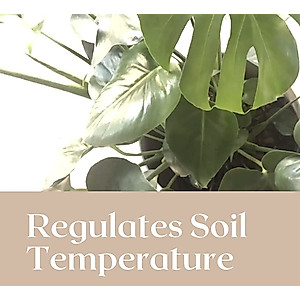 Urban Thumb & Co Ultra Fine Garden Plant Mulch - Top Cover for Indoor / Outdoor Potted House Plants - Compact Size, Potting Mix for Urban Plant Lovers- 3.25 Quarts