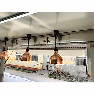 Mobile Food Trailer GL-FS250 Compact Shawarma, Coffee & Street Food Kiosk - 8.2 ft x 6.6 ft, Stainless Steel Work Table, Dual Sink, Water System, Electric Box - Ideal for Outdoor Catering and Events