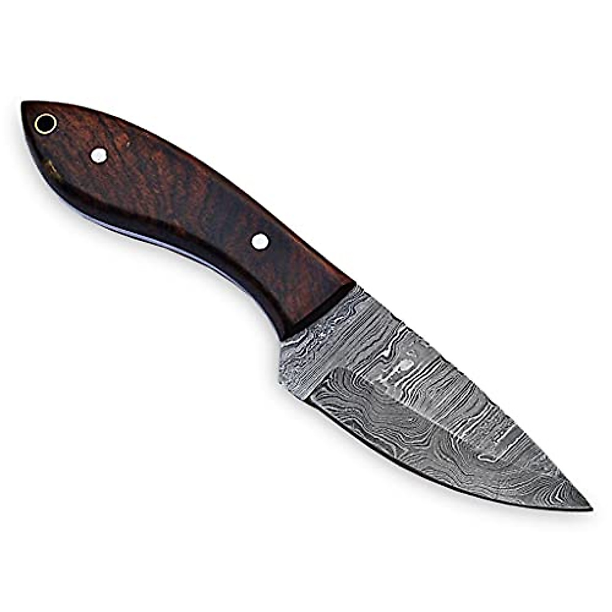 MMA 8inch Custom Handmade Damascus blade knife/Fixed blade knife with sheath/Fixed Blade Knives/Skinning Knives/Hunting Knives/EDC Knives (Brown)