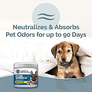 SMELLS BEGONE Pet Odor Absorber Gel - Air Freshener & Odor Eliminator - Made with Essential Oils - Fresh & Clean Scent - 15 Ounce