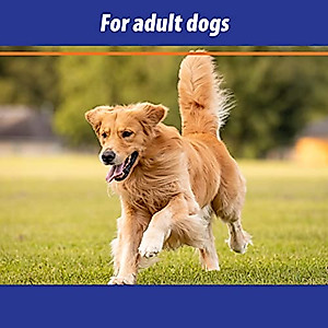 Exmarid Dry Skin Formula With Starflower Oil, 150ml