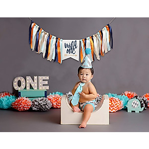 Wild One Banner for 1st Birthday - Highchair Banner for First Birthday Theme Decoration,Highchair Banner for Boy or Girl, Photo Booth Props (Wild One Blue High Chair Banner)