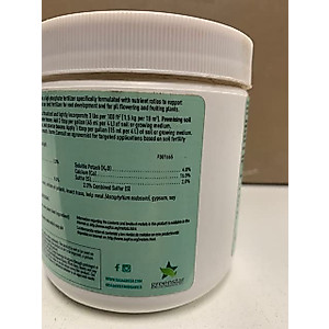 GG Power Bloom, 500 Gram