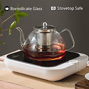 Wlasss Glass Teapot with Stainless Steel Removable Infuser (1200 ml/40 oz), Glass Tea Kettle Stovetop Safe for Blooming and Loose Leaf Tea