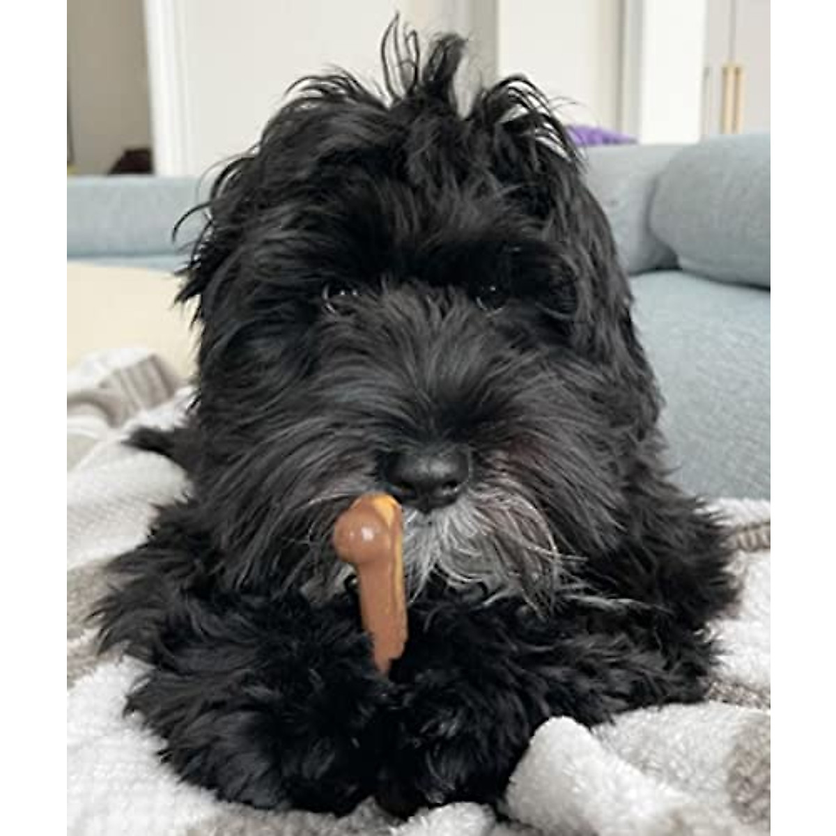 Nylabone Flavor Frenzy Power Chew Triple Pack Chili Cheese Dog, Popcorn & Cherry Small/Regular (3 Count)