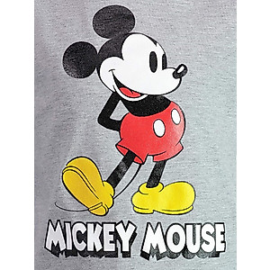 Disney Mickey Mouse Donald Duck Goofy Pluto Little Boys 4 Pack Graphic T-Shirts 6