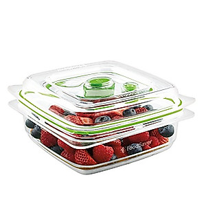 FoodSaver B01AJJ1WPI Vacuum Sealed Fresh Container, 3 Cup, Clear