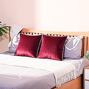 GAWAMAY Velvet Farmhouse Spring Pillow Covers 18x18 Set of 2,Decorative Green Throw Pillows with Chenille Thread Edge,Square Boho Couch Pillows for Living Room Sofa Couch Beding(45x45cm) Burgundy Red