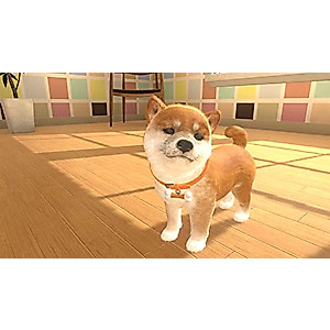 Little Friends: Dogs & Cats - Nintendo Switch