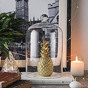 WHOLE HOUSEWARES | Cloche Glass Dome | Clear Glass Bell Jar | DIY Snow Globes | Decorative Cloche Jar | Glass Cloche to Cover Plants and Decorations | Cloche Jar for Home Décor (6"x10")