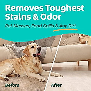 Carpet Miracle - Carpet Cleaner Shampoo Solution for Machine Use, Deep Stain Remover and Odor Deodorizing Formula, Use On Rug Car Upholstery and Carpets (32FL OZ)