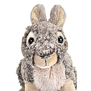 Wild Republic Bunny Plush, Stuffed Animal, Plush Toy, Gifts for Kids, Cuddlekins 8 Inches