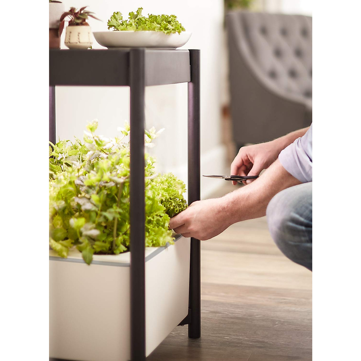 Miracle-Gro Twelve Indoor Growing System, Side Table with LED Grow Light for Year Round Gardening, Planter For Leafy Greens, Herbs & Flowers