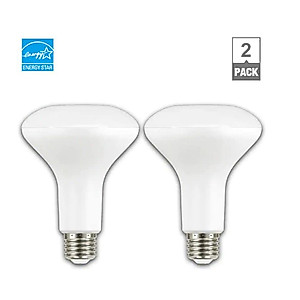 EcoSmart Bulbs EcoSmart 90-Watt Equivalent BR30 Dimmable Energy Star LED Light Bulb in Bright White (2-Pack)