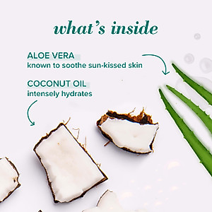 Burt's Bees SPF Lip Balms - 3 Pack Includes SPF 30 Tinted Lip Balms (2) & Soothing Aloe Lip Balm (1) with Aloe Vera, Coconut Oil & Shea Butter to Moisturize Dry Lips & After Sun Care