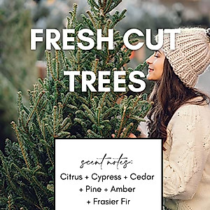 Bluebyrd Soap Co. Fraiser Fir & Pine Scented Candle Jar 9oz. | Amber Glass Holiday Candle Made with Natural Coconut Wax & Non-Toxic Fragrance (Fresh Cut Trees, 9oz)