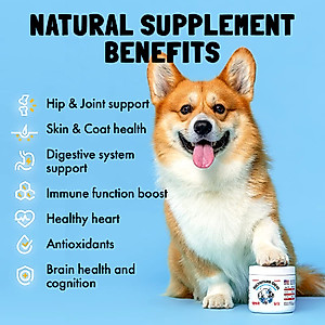 LEGITPET Dog Vitamins & Hip & Joint Supplement & Allergy Relief Chews & Calming Treats Bundle