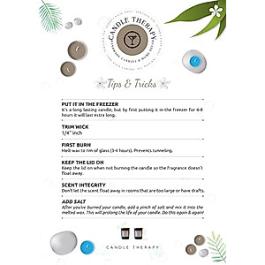 Snickerdoodle Candle - Snickerdoodle Cookie - Cinnamon Sugar Cookie Candle - Cookie Scented Candles - Snickerdoodle Candle Scent - Cinnamon Vanilla Candle - Dessert Candles - In My Kitchen Homemade