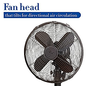 Deco Breeze DecoBreeze DBF0610 Rustic Table Fan from Fir Bark collection in Bronze/Dark finish, 9.00 inches, 10 Inch