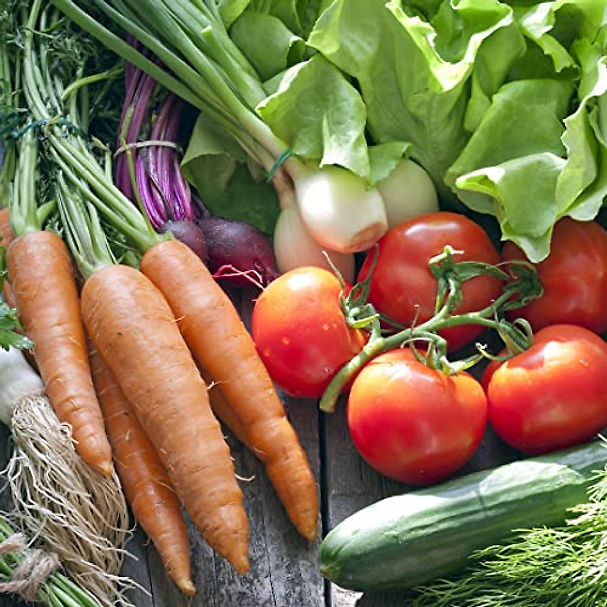 Harvest Hero Enhanced Perlite Soil Mix with Diatomaceous Earth & Essential Nutrients – Promotes Robust & Vigorous Growth for Indoor & Outdoor Plants, Transplanting, Garden Beds & Seedlings (16 QT)