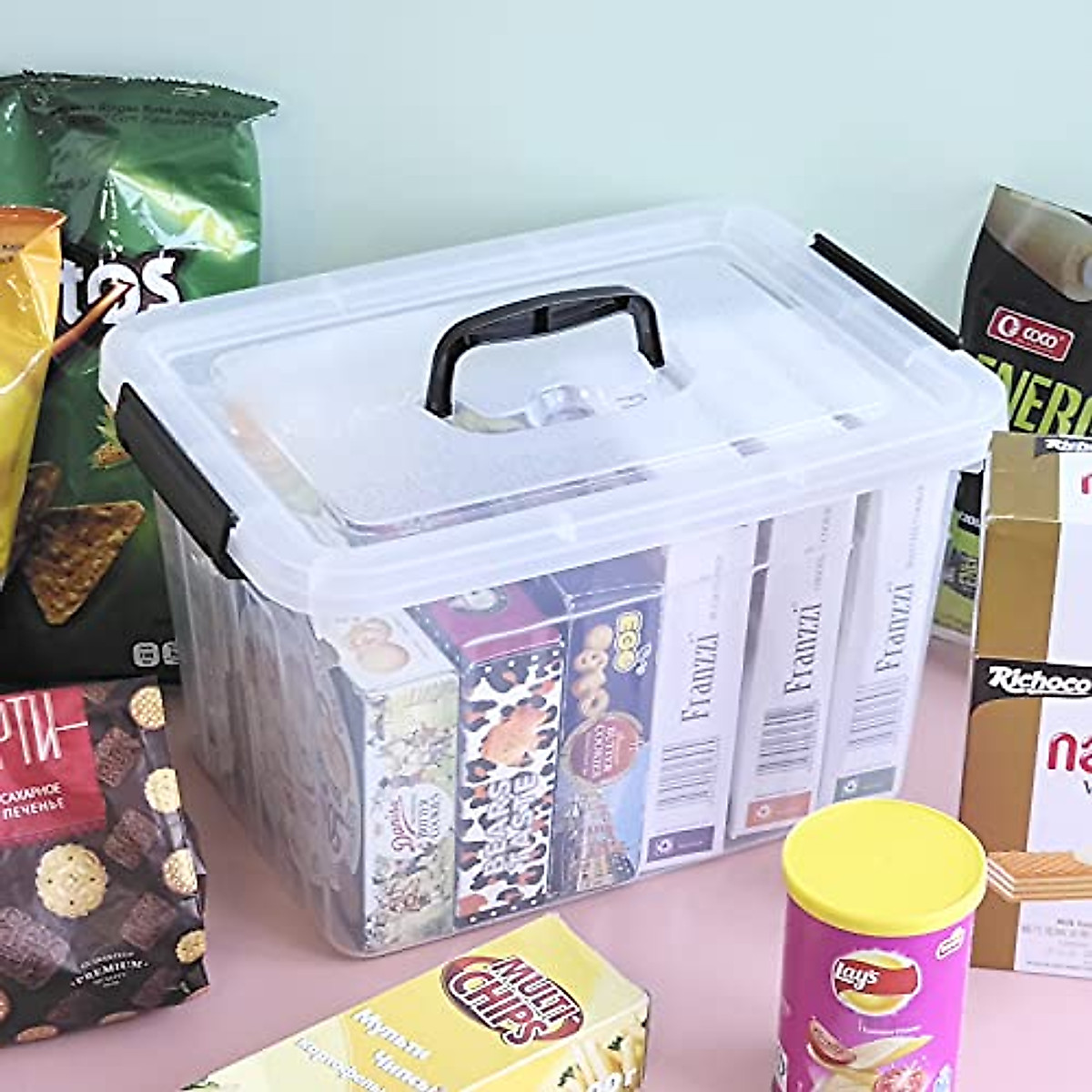 Qskely 6-Pack 10 L Clear Plastic Storage Box, Latch Storage Box with Handle