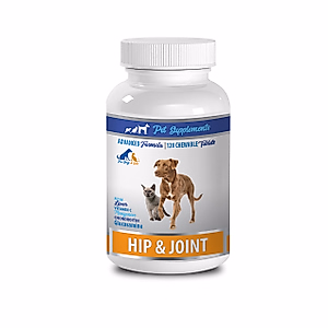 Hip and Joint Supplements - PET Hip and Joint Care - for Dogs and Cats - Healthy Choice - Chewy Treat - Dog glucosamine Chews - 1 Bottle (120 Chews)