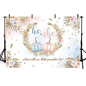 MEHOFOND 7x5ft Pumpkin Gender Reveal Backdrop Fall Autumn Pumpkin Boho Floral Gender Reveal Photography Background He or She What Will Our Little Pumpkin Be Party Decorations Banner Photo Studio Props
