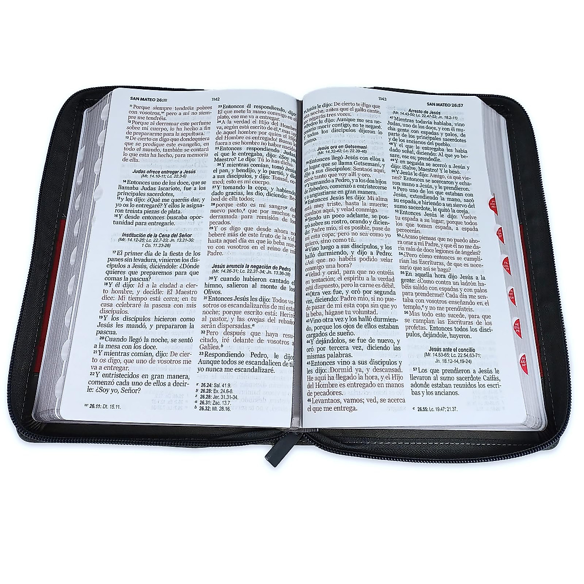 Biblia Letra Grande 12 puntos con Cierre Reina Valera 1960 gris y rojizo con indice