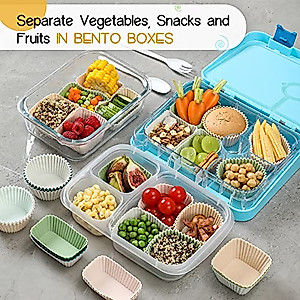 48 Pack Silicone Cupcake Liners, 3 Shapes of Standard Round & Square & Rectangle - Reusable Non-Stick Muffin Cups for Baking, Multicolor Bento Lunch Box Dividers - Non-Toxic, BPA Free, Dishwasher Safe