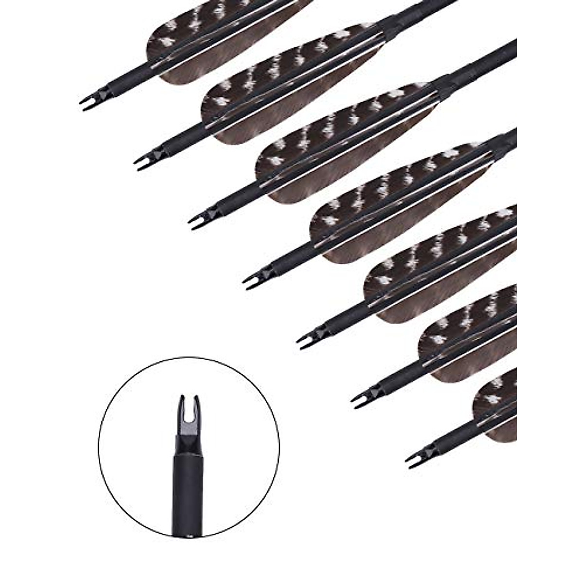 PANDARUS Archery 31-Inch Carbon Hunting Arrows, Turkey Feather Fletching with Replaceable Points, Targeting Practice Arrows Spine 500 for Recurve bow, Longbow, Traditional bow (Black flower)