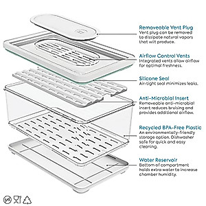 iDesign iD Fresh Food Storage, Large Bin