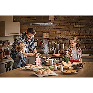 BLUE ELE Leakproof, Vacuum Insulated Thermos Hot Lunch Containers with Ceramic-Coated Stainless Steel, Easy Grip Lid, and Folding Spoon, 13.5oz, Carnation Pink