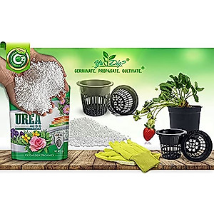 Urea Fertilizer 46-0-0 Made in USA Plant Food for Indoor/Outdoor Flowers & Organic Gardens - Promotes Lush Growth - Lettuce, Green Lawns, Fruit, Vegetables, Citrus Trees, Tie Dye Granules Prills 5LB