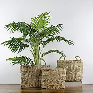 Northlight Set of 3 Natural Beige Round Seagrass Table and Floor Baskets