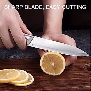 Stainless Steel Fruit Knife, 2 Fruit Knife Small, Sharp Blade, Integrated Stainless Steel Blade, Comfortable Handle, Exquisite Appearance, Suitable for Most Vegetables and Fruits