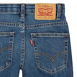Levi's Boys' 510 Skinny Fit Destructed Jeans, Paper Shredder, 12