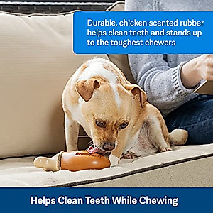 PetSafe Busy Buddy Chompin' Chicken Dog Toys – Treat Ring Holding Chew Toy – BPA Free Rubber – Chicken Scented – Interactive Pet Puzzle for Boredom or Separation Anxiety – Small to Large Dogs